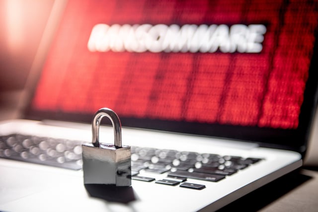 7 Most Common Types of Ransomware with Examples | ENP